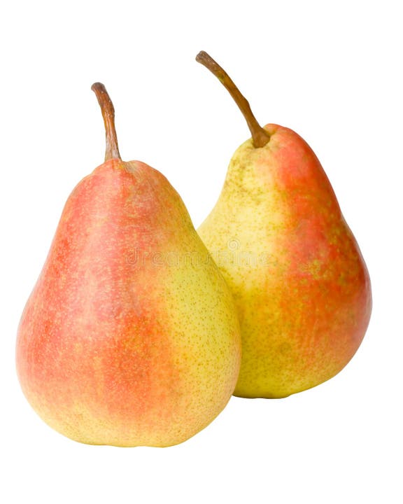 Pear stock photo. Image of organic, ripe, shiny, vertical - 10892878