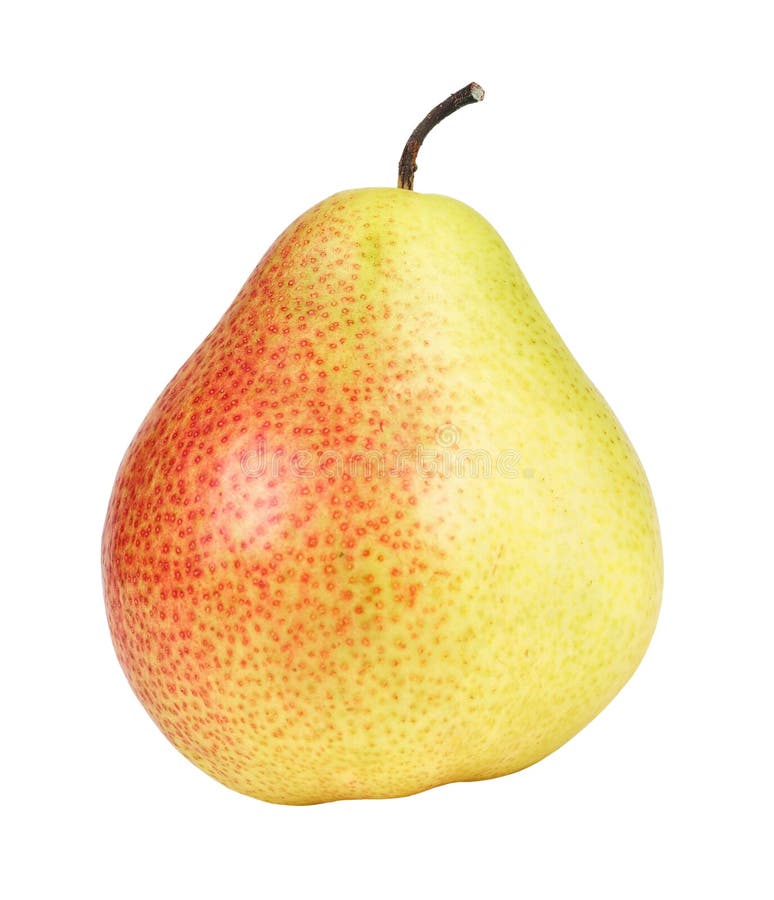 Pear stock photo. Image of organic, ripe, shiny, vertical - 10892878