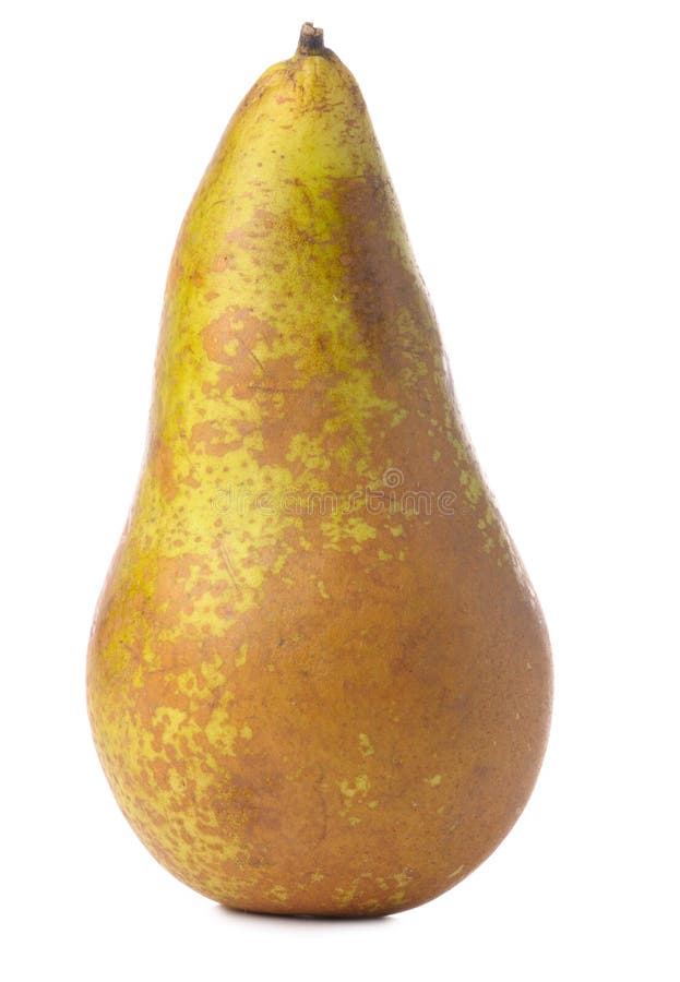 Pear stock image. Image of fall, fresh, seasonal, juicy - 14949995