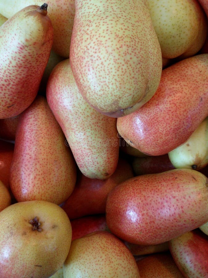 Pear stock image. Image of market, vegetable, pear, fruit - 148161381