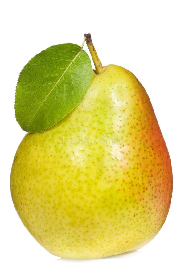 Green pear stock image. Image of single, snack, season - 22555431