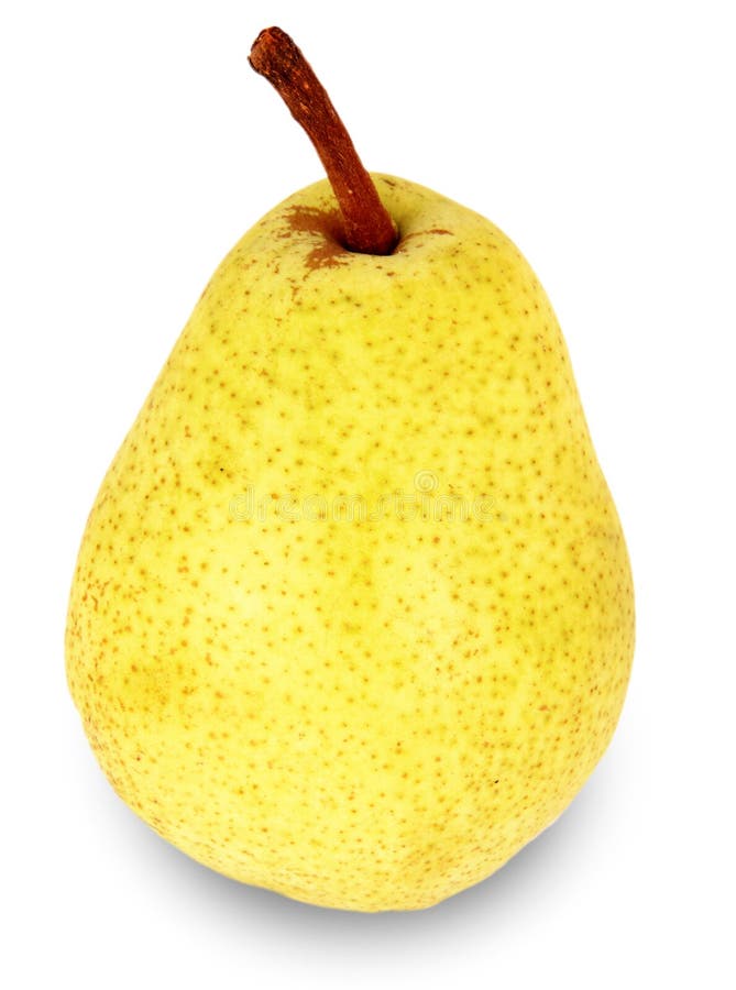 Pear stock image. Image of fall, fresh, seasonal, juicy - 14949995