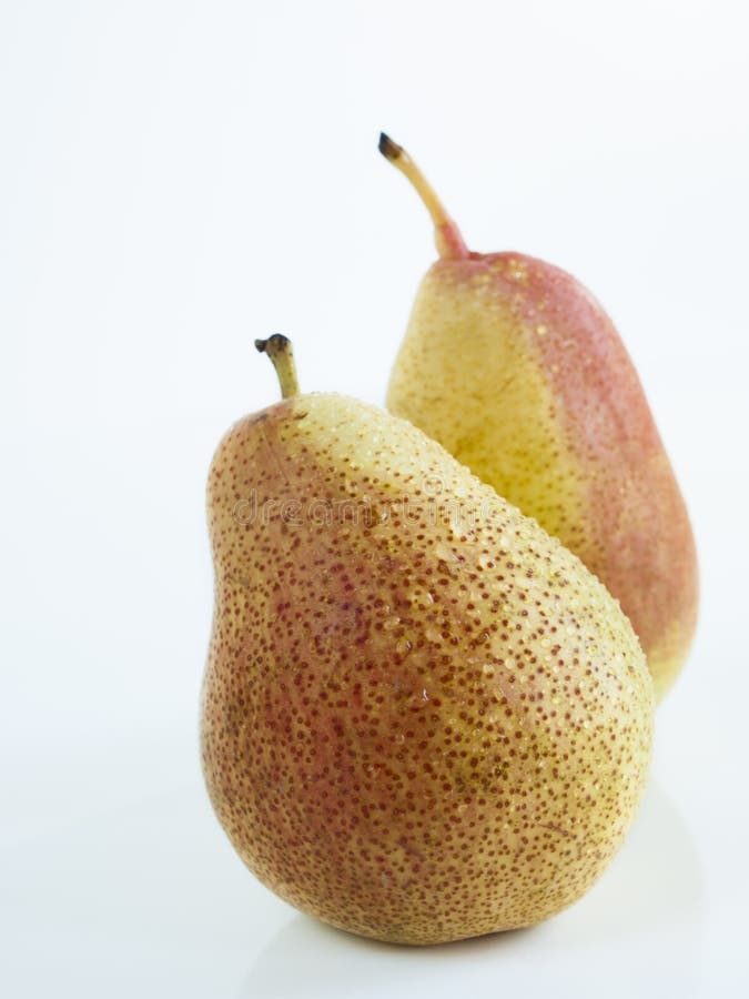Pear stock photo. Image of plate, pear, nature, tree - 26122658