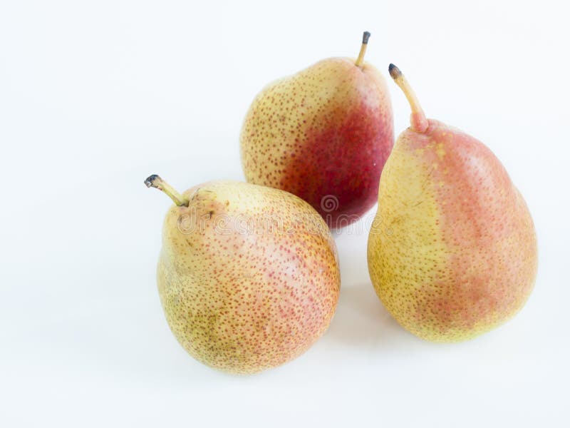 Pear stock photo. Image of astringent, fruit, tree, sweet - 26122692