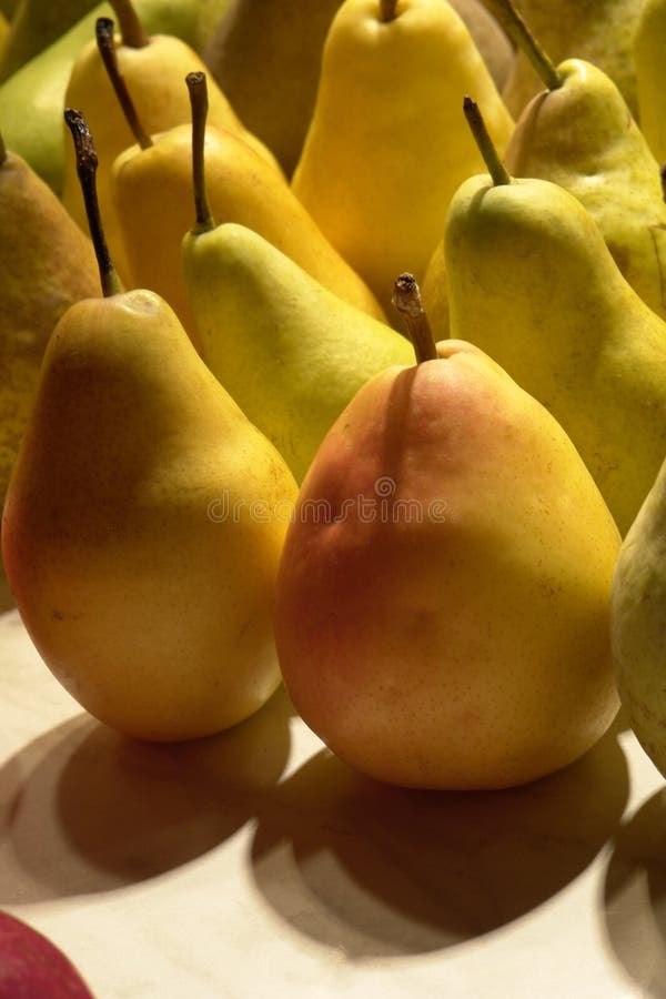 Healthy Tan stock photo. Image of fine, diagonal, pears - 387990