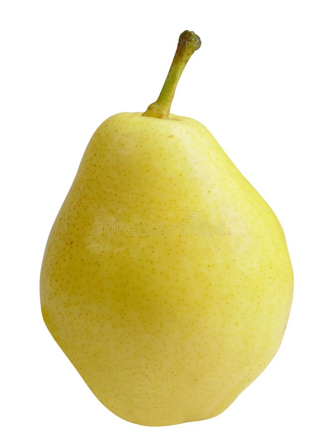 Fresh pear stock photo. Image of shine, path, fruit, clipping - 22068286