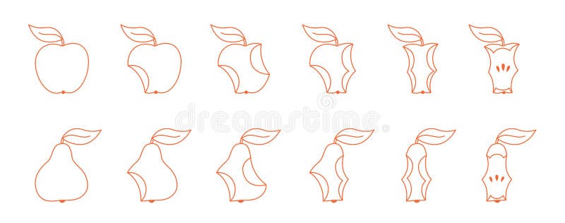 Pear and Apple Bite Stage Set. from Whole To Core Gradual Decrease ...