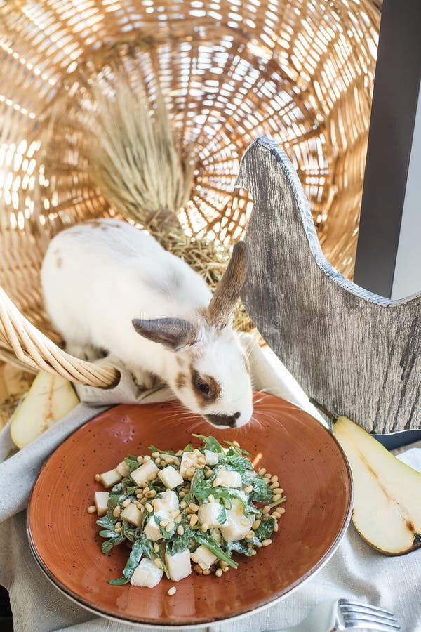 Pear and Arugula Salad with Pine Nuts Near the Beautiful White Rabbit ...