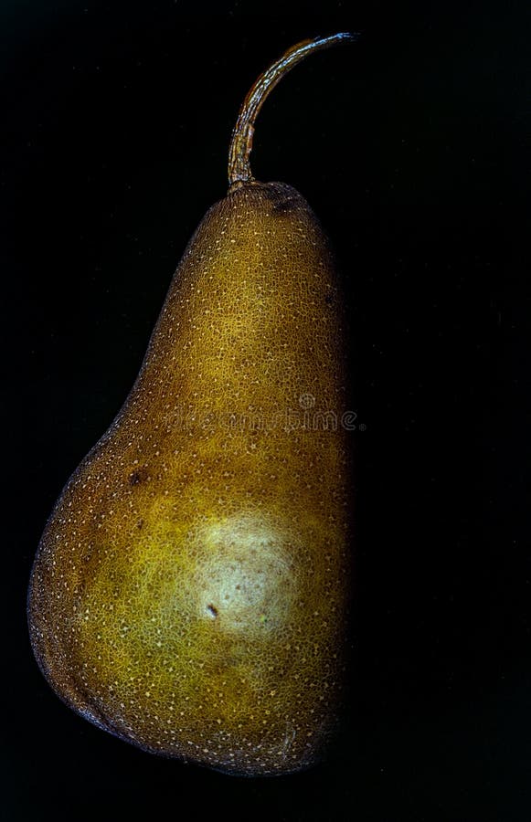 Pear on black background stock photo. Image of teasty - 221236836