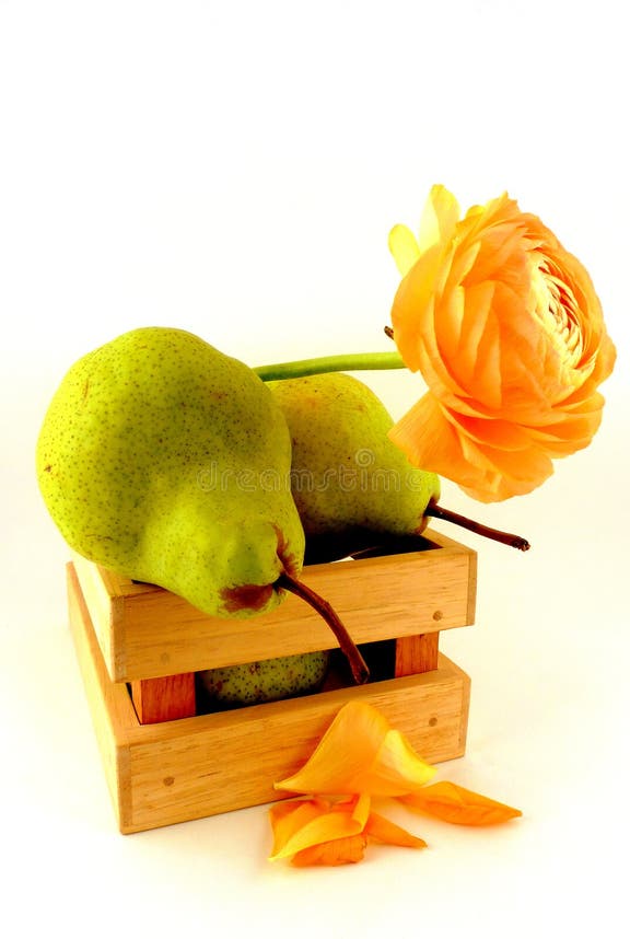 Pear box stock photo. Image of blossom, trees, plants - 38495986