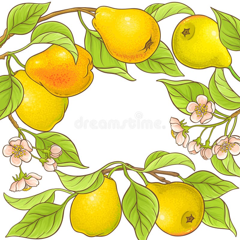 Pear frame stock vector. Illustration of square, drawing - 16396563
