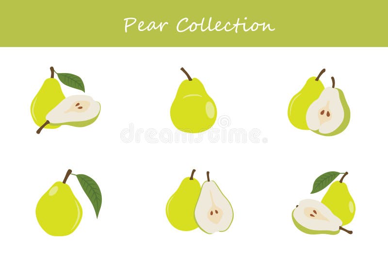 Pear Collection. Pear in Different Poses. Vector Illustration Stock ...