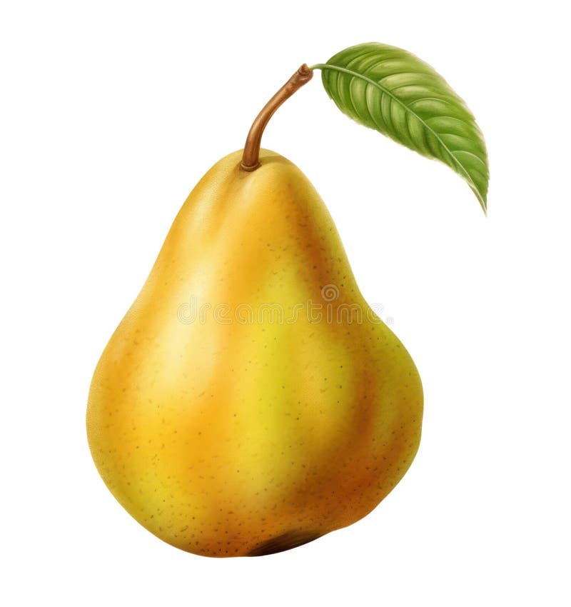 Pear Drawing on a Transparent Background in PNG Format, Ideal for Use ...