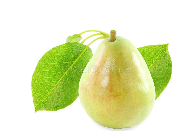 Pear Fruit with Leaves in Pure White Background Stock Photo - Image of ...