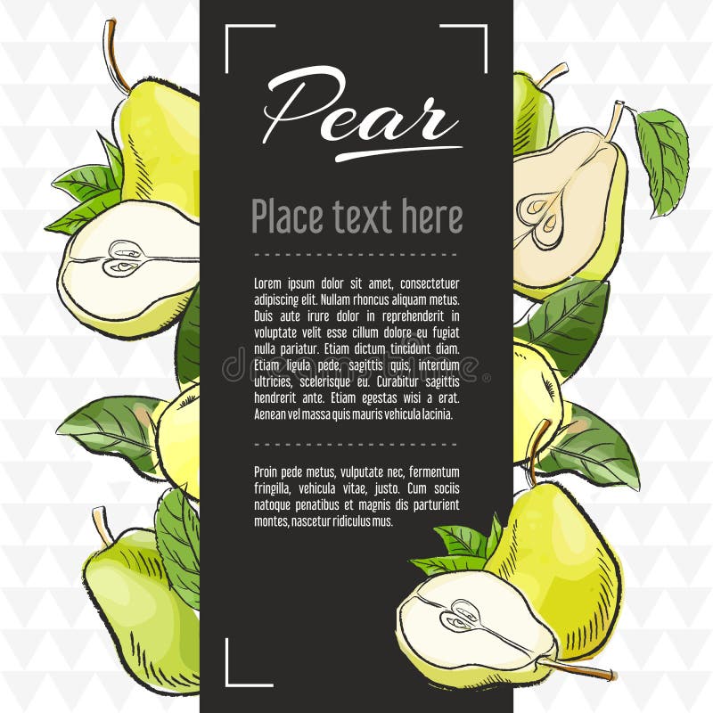 Pear Fruit Vector Menu Design Templates. Vector Fruit Illustration with ...