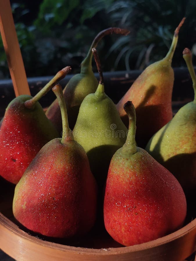 Pear Fruits on Table Bamboo Stock Image - Image of fresh, pear: 381167737