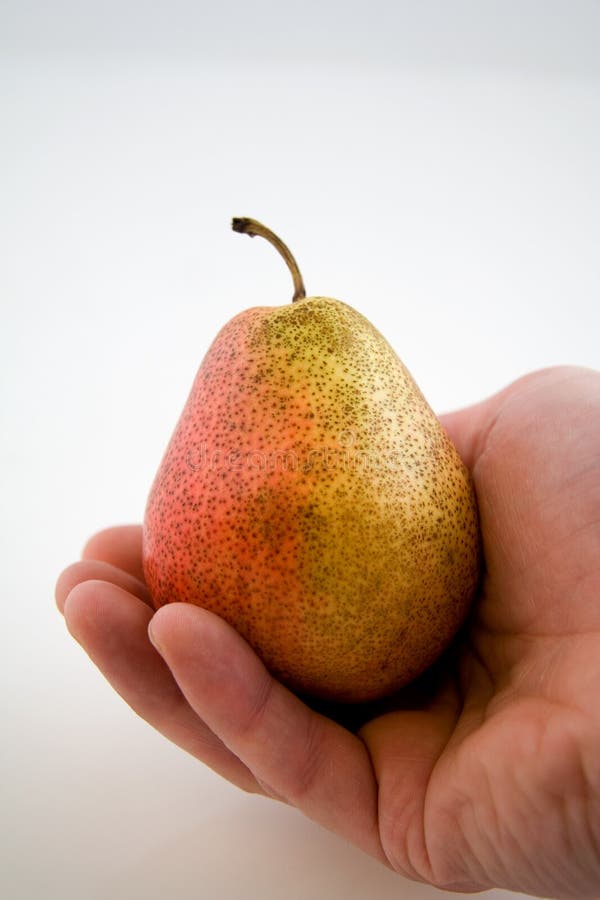 Pear in Hand stock photo. Image of pear, organic, isolated - 3766272