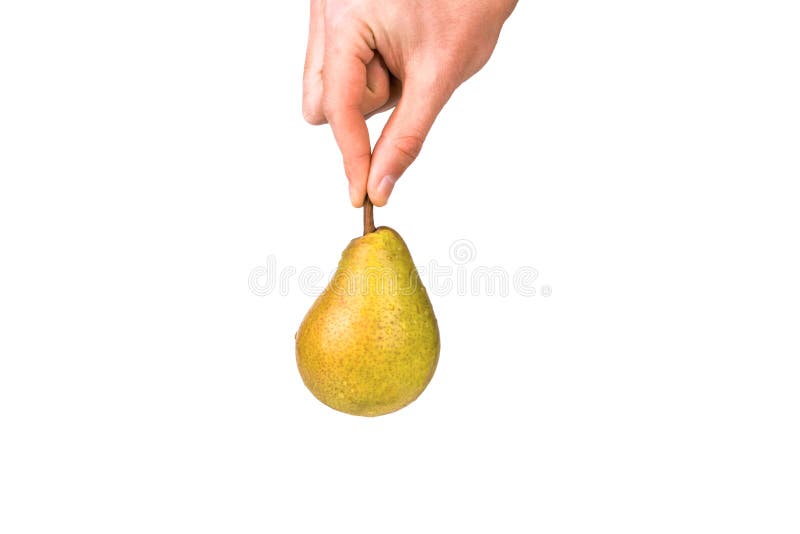 Pear in hand stock image. Image of vegetables, nature - 48525671