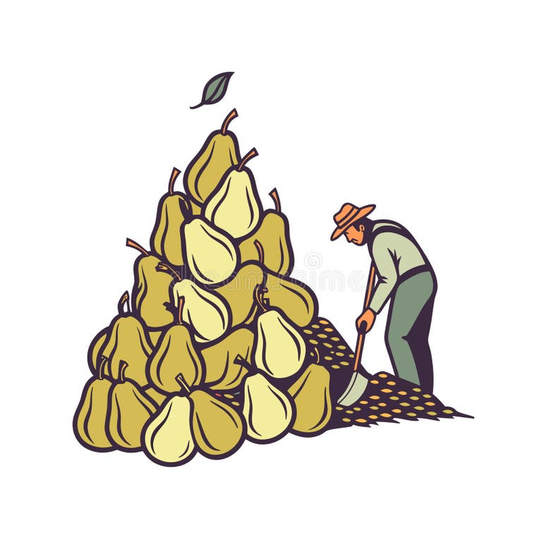 Pear Harvest with Farmer at Work Illustration Stock Image Stock Image ...