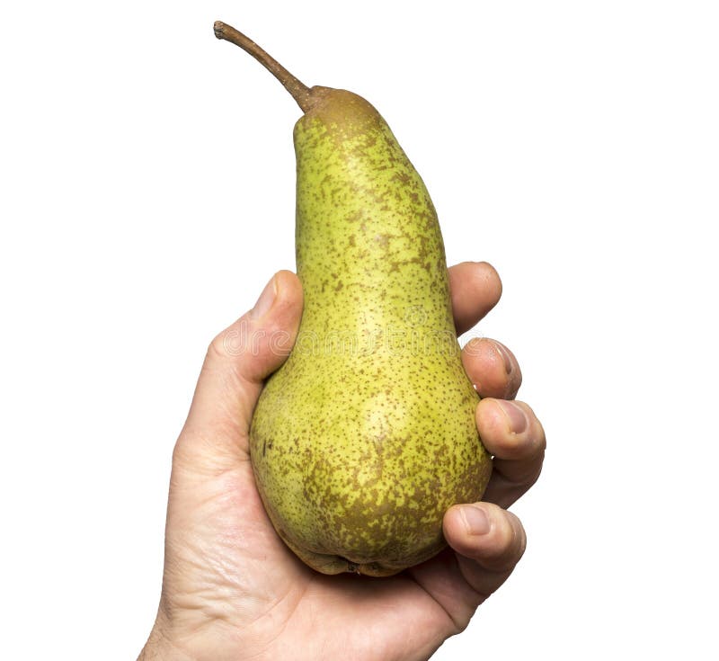 A pear held in one hand stock image. Illustration of healthy - 294919161