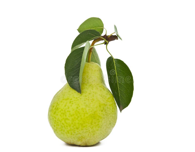 Pear isolated stock image. Image of juicy, healthy, williams - 28203191