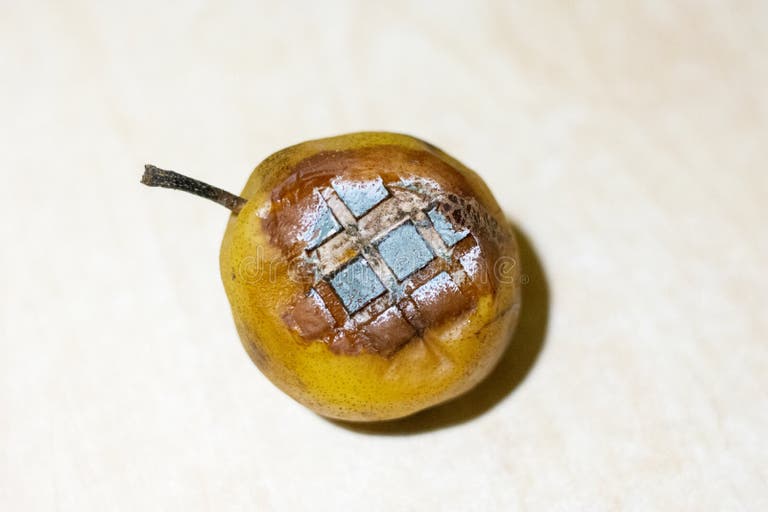 Pear with processor stock photo. Image of side, pear - 217925922