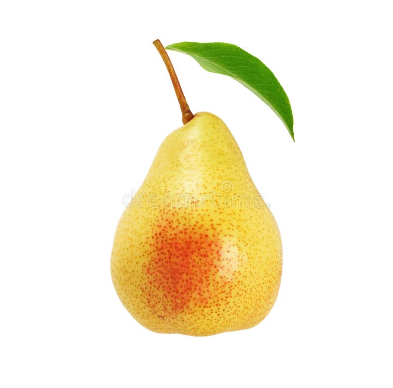 Pear with leaf stock image. Image of healthy, fresh, isolated - 22581113