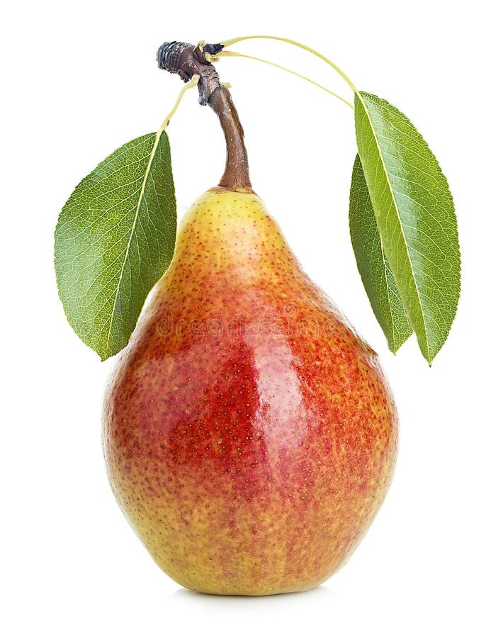 Pear with Leaves Isolated on a White Background. Stock Photo - Image of ...
