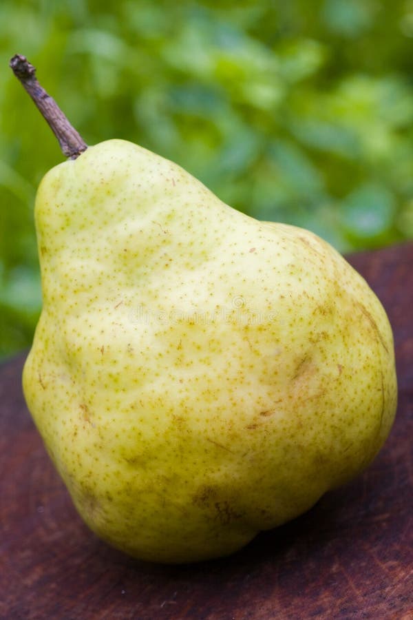 540 Juicy Log Stock Photos - Free & Royalty-Free Stock Photos from ...