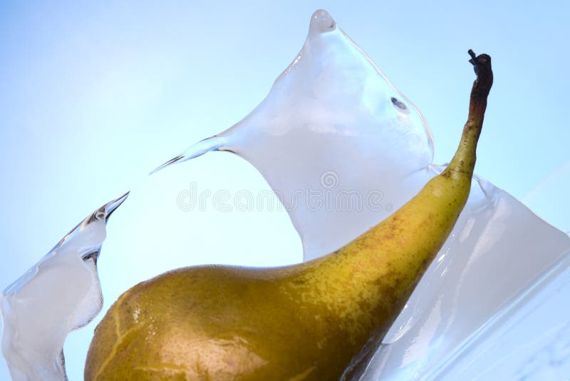 Pear Melting Out Ice Stock Photos - Free & Royalty-Free Stock Photos ...