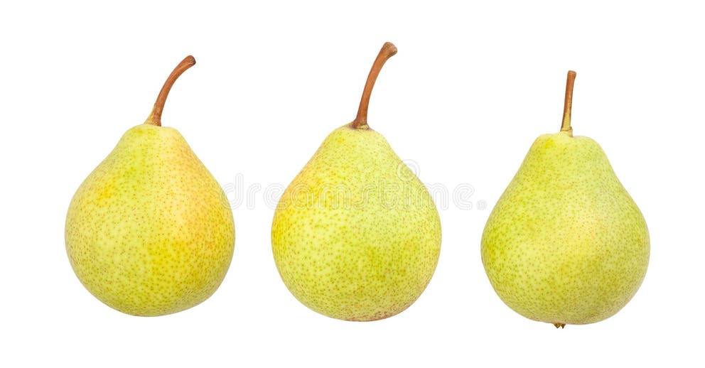 Pear path isolated stock photo. Image of three, white - 301956902