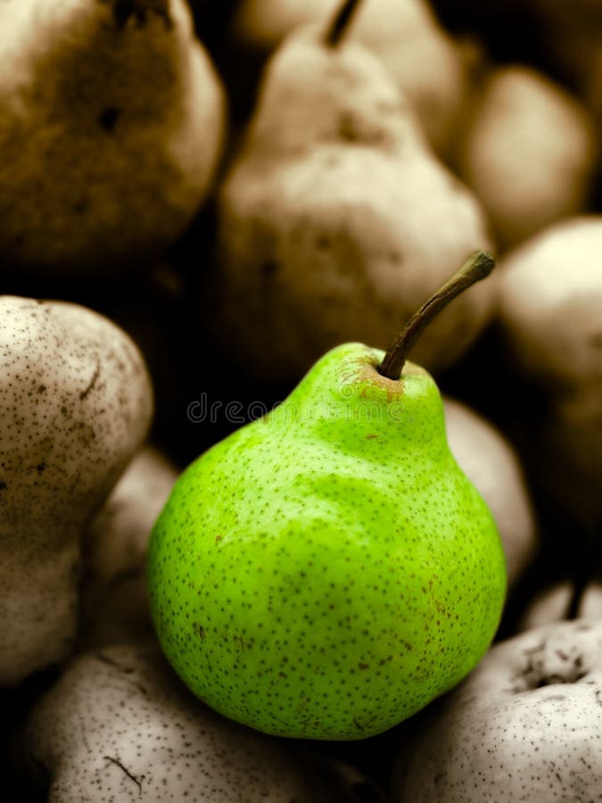 Pear Portrait stock image. Image of attention, colorisation - 3388637