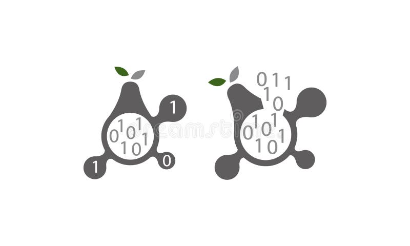 Pear Program Code Connection Set Stock Vector - Illustration of coding, collection: 113689876
