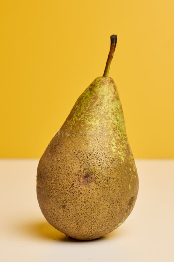 Gute Luise Stock Photos - Free & Royalty-Free Stock Photos from Dreamstime