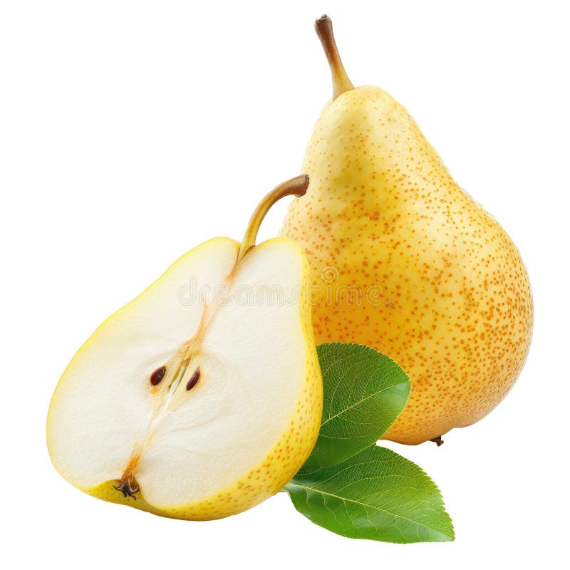 Pear with a Slice Pear Isolate on Transparency Stock Illustration ...