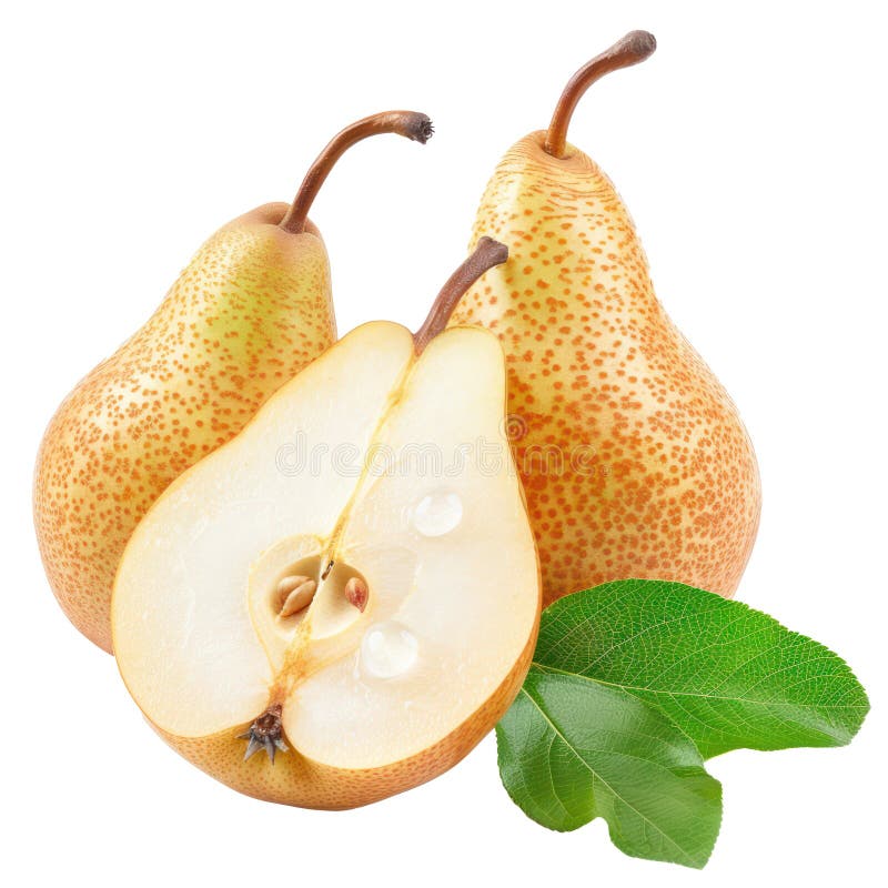 Pear with a Slice Pear Isolate on Transparency Stock Illustration ...