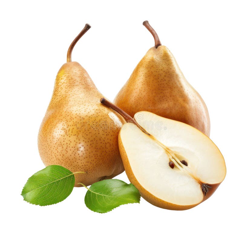 Pear with a Slice Pear Isolate on Transparency Stock Illustration ...