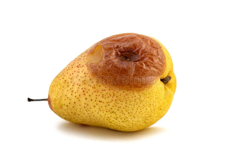 Pear Spoiled Isolated on White Background Stock Image - Image of ...