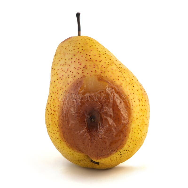 Pear Spoiled Isolated on White Background Stock Image - Image of ...