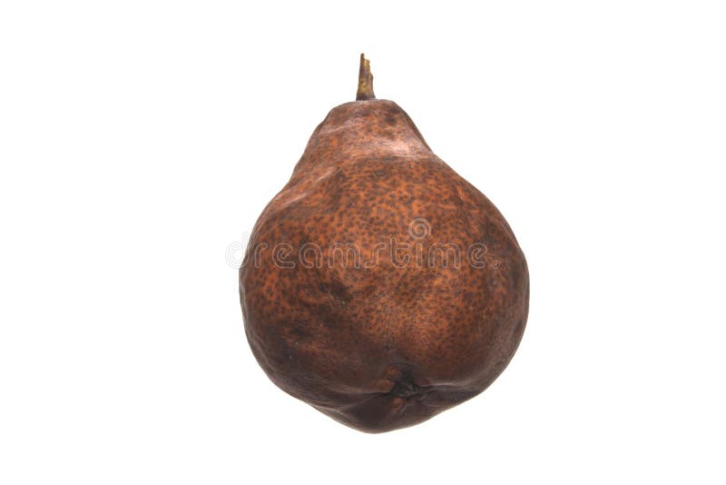 Rotten Pear Isolated on White Background Stock Photo - Image of ripe ...