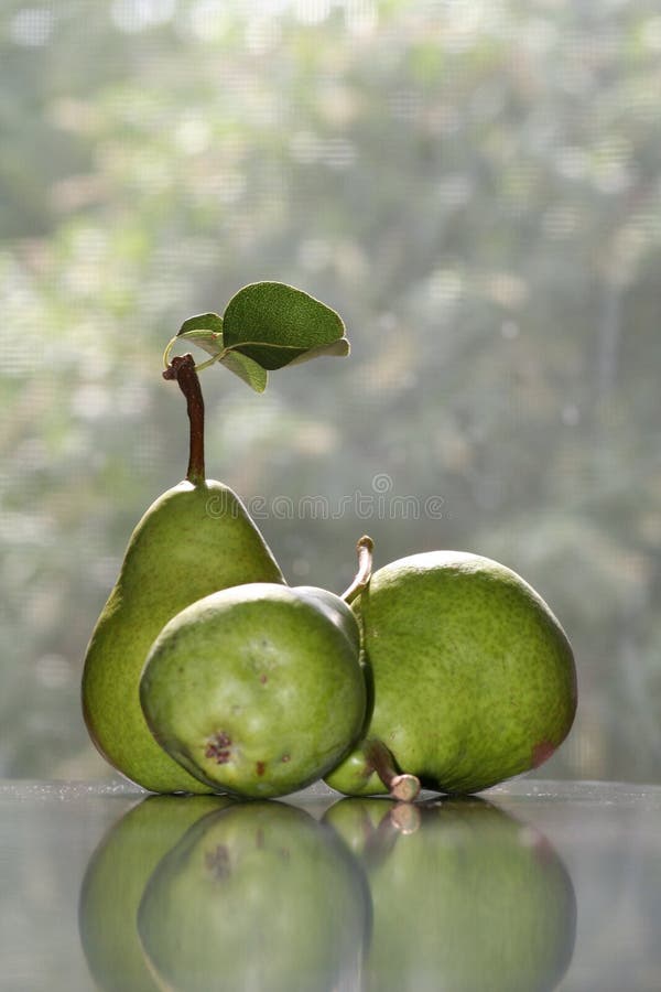 Pear Study Still Life with Reflection Stock Image - Image of pears ...