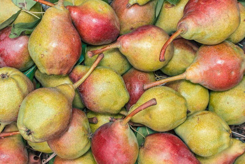 Pear texture fruit stock image. Image of juicy, organic - 123902911