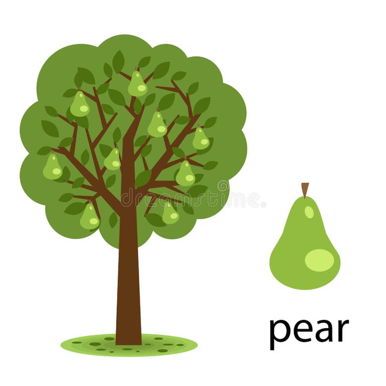 Pear Word Stock Illustrations – 616 Pear Word Stock Illustrations ...