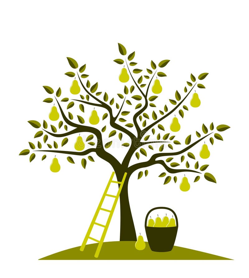 Pear tree stock vector. Illustration of symbol, icon - 16057619