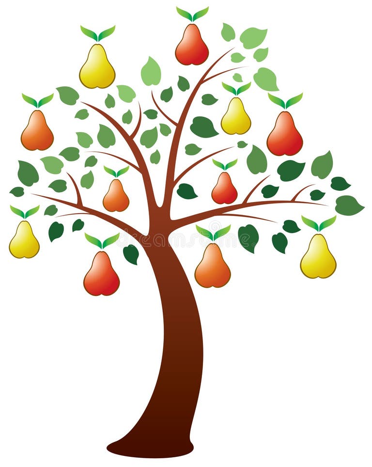 Pear Tree Drawing Stock Illustrations – 4,144 Pear Tree Drawing Stock ...
