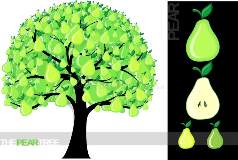 Pear Tree Cartoon Stock Illustrations – 2,811 Pear Tree Cartoon Stock ...