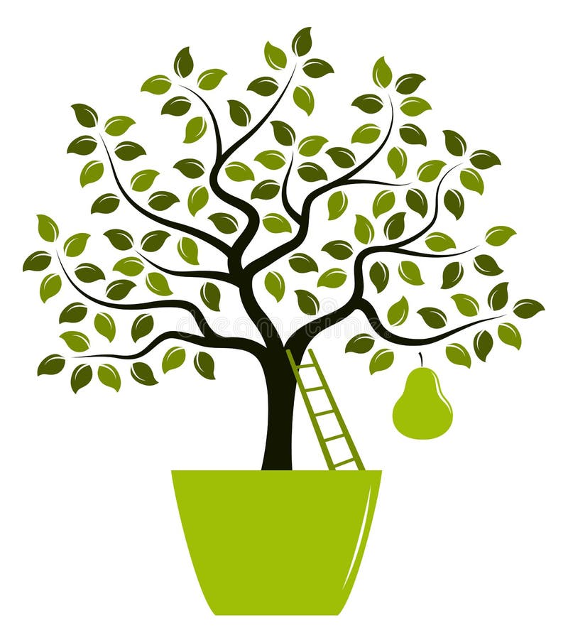 Pear Tree Illustration Ladder Stock Illustrations – 58 Pear Tree ...