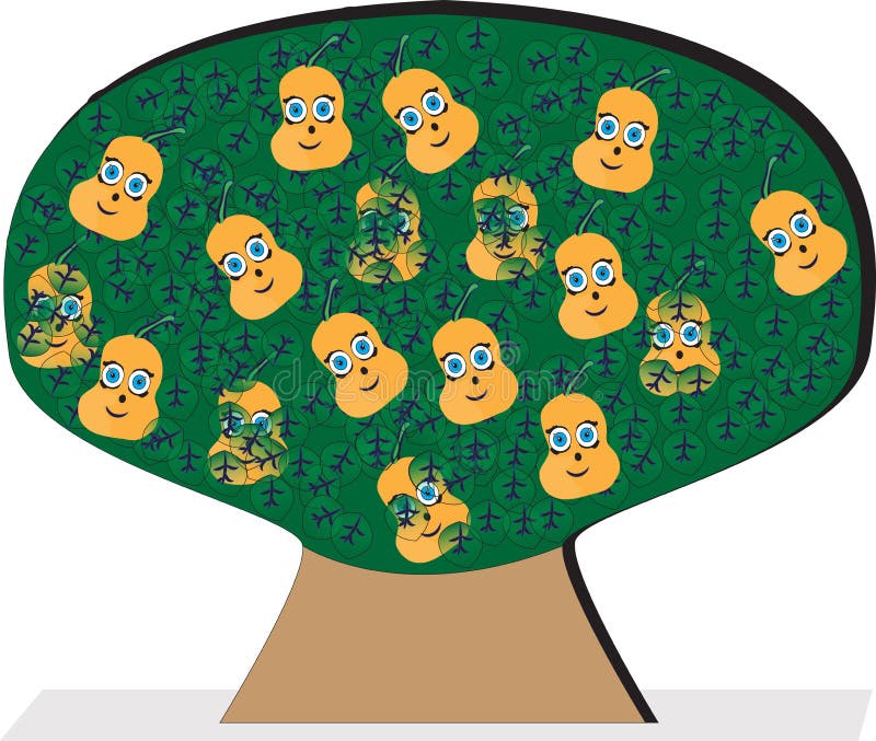 Pear tree stock vector. Illustration of vegetables, pear - 55642165