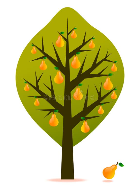 Pear Tree Stock Illustrations – 16,542 Pear Tree Stock Illustrations ...