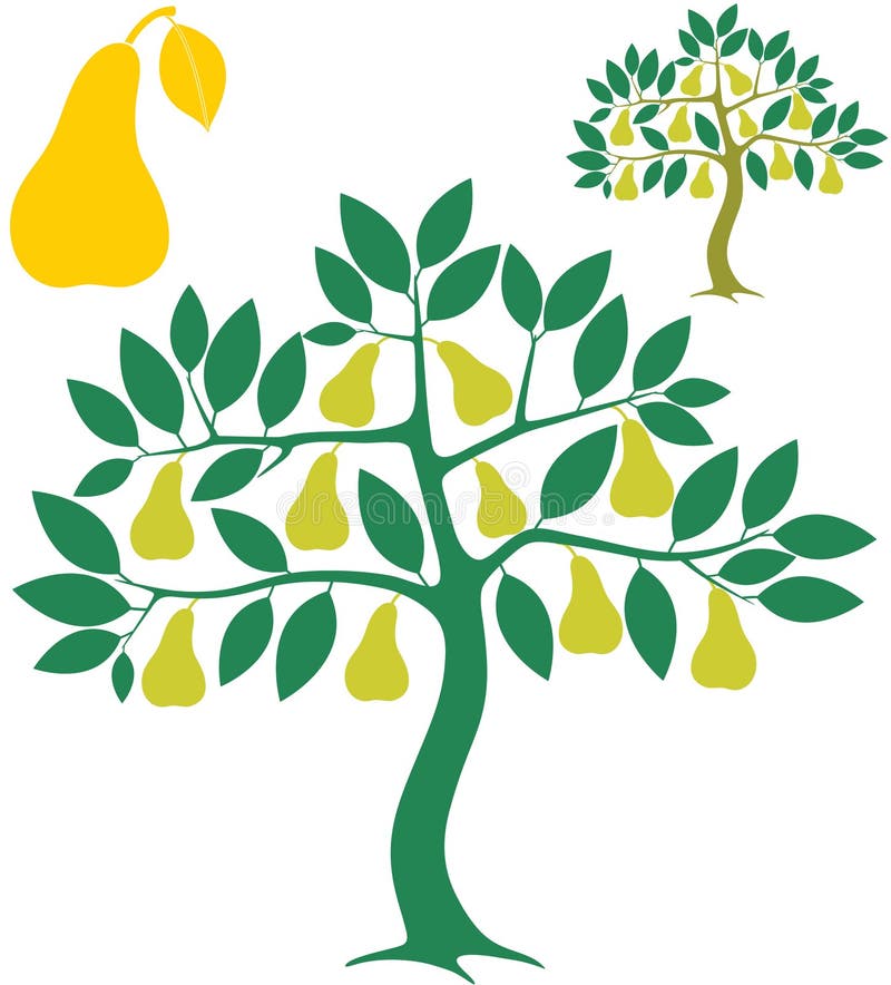 Fruit Design Seamless Pattern. Vector Stock Vector - Illustration of ...